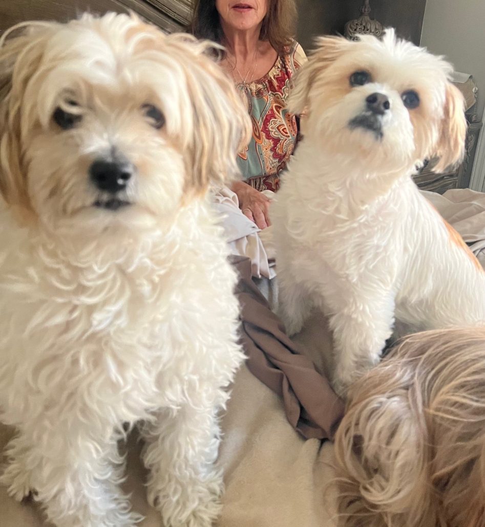 Pet Care Services - Wag n' Wiggle